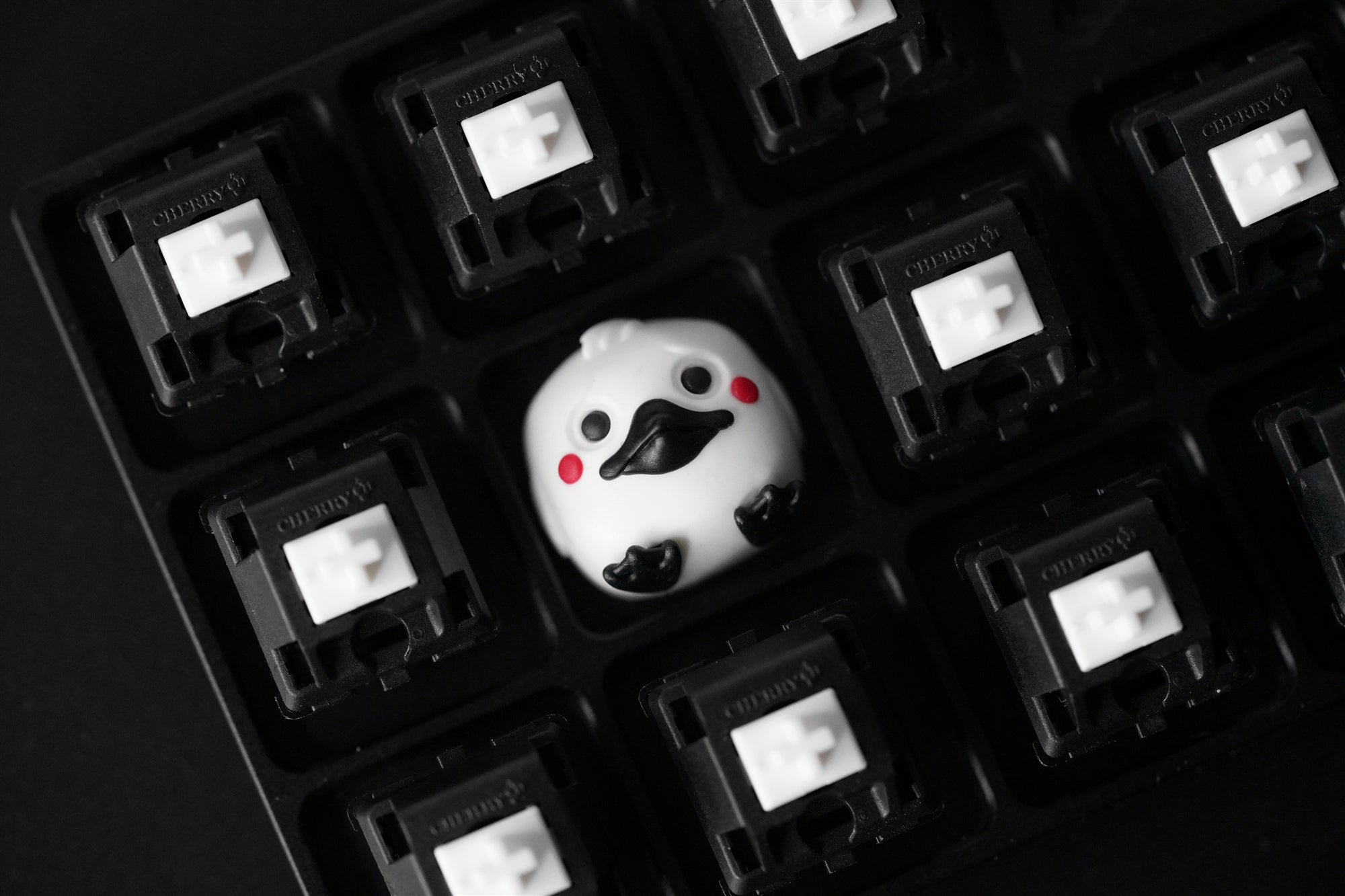 D007 – bobkeyboard